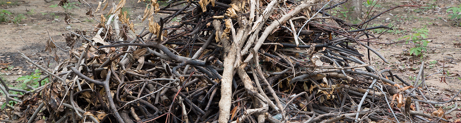 Yard Waste & Trees - New Haven Solid Waste & Recycling Authority